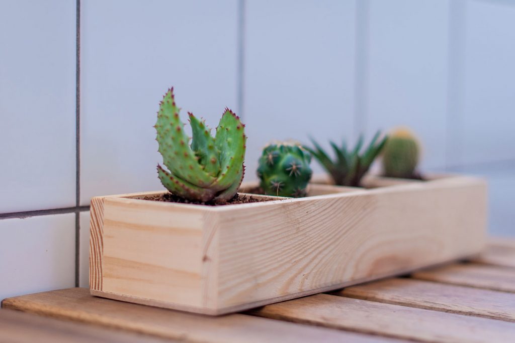 Turquoise Apt. - Golda Vacation Rentals